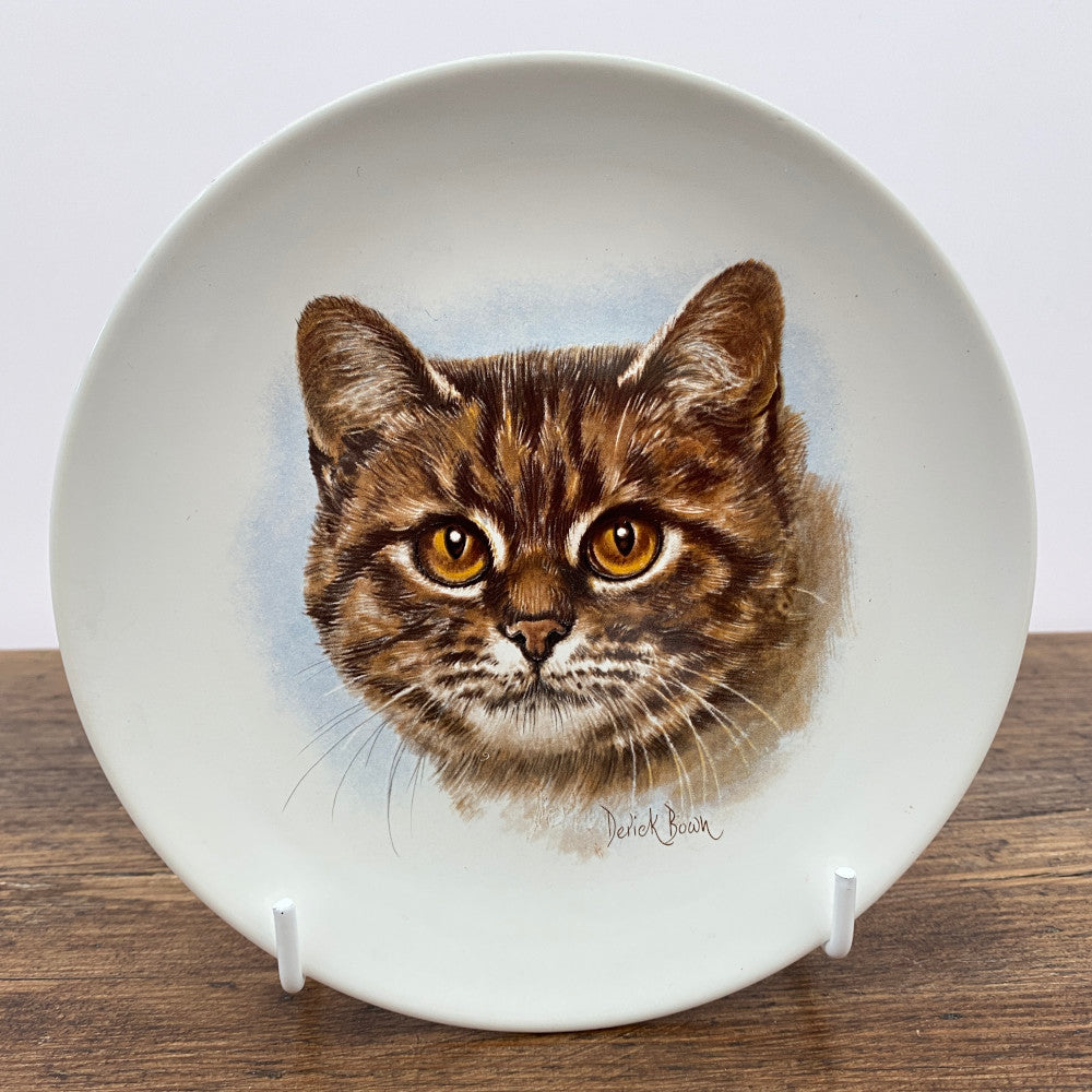 Poole Pottery "Transfer Plate" - Derick Brown - Tabby Cat – MrPottery