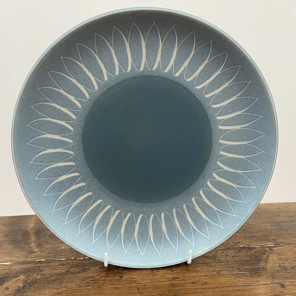Denby "Echo" Dinner Plate - RARE – MrPottery