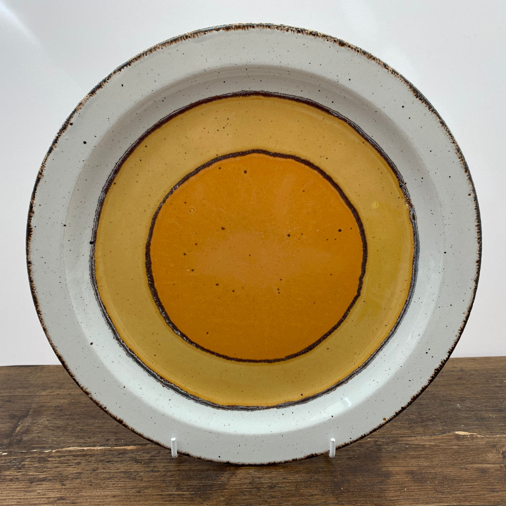 Midwinter "Sun" Dinner Plate – MrPottery