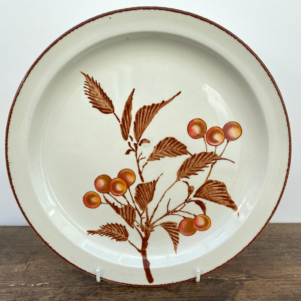 Midwinter "Wild Cherry" Dinner Plate – MrPottery