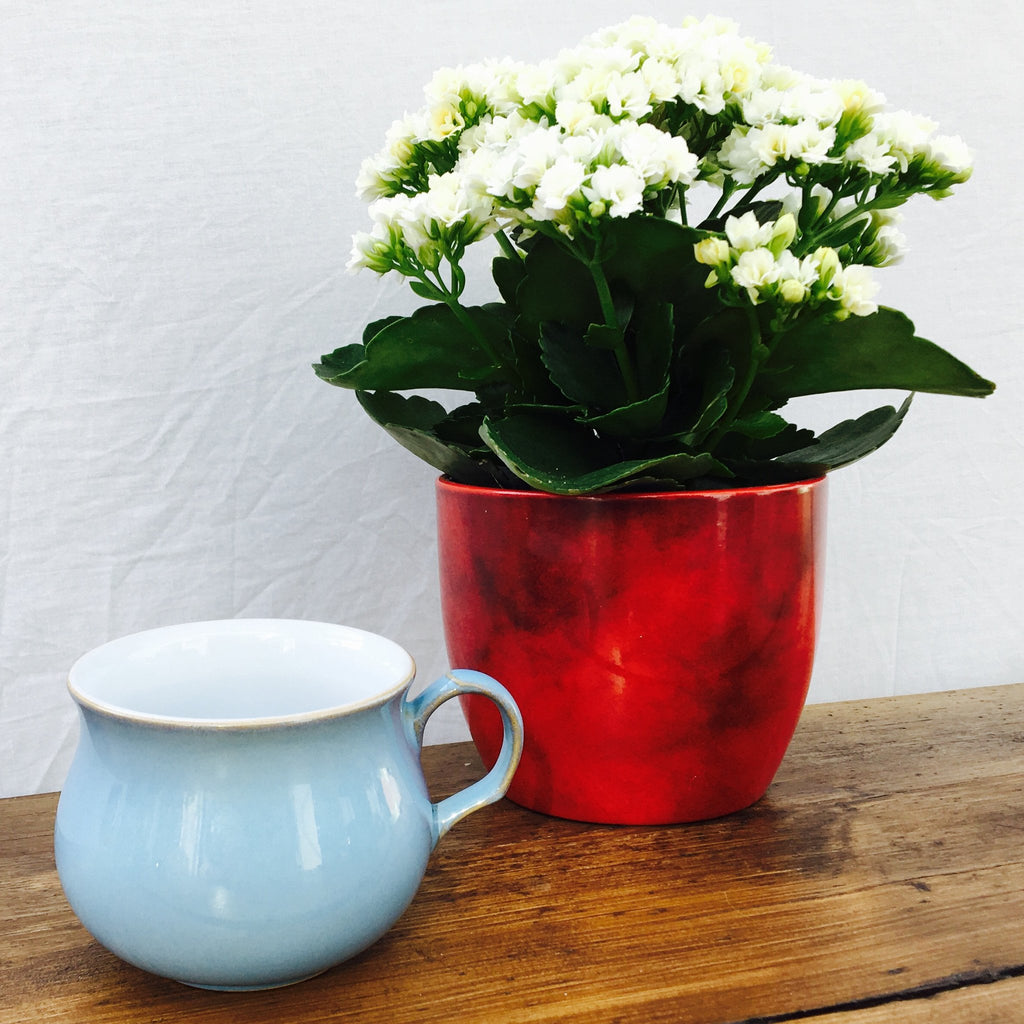 Denby "Colonial Blue" Tea Cup – MrPottery