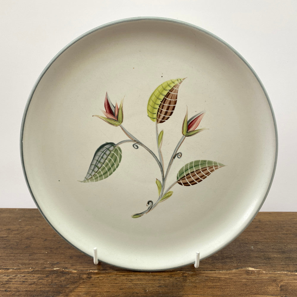 Denby "Spring" Breakfast/Salad Plate – MrPottery