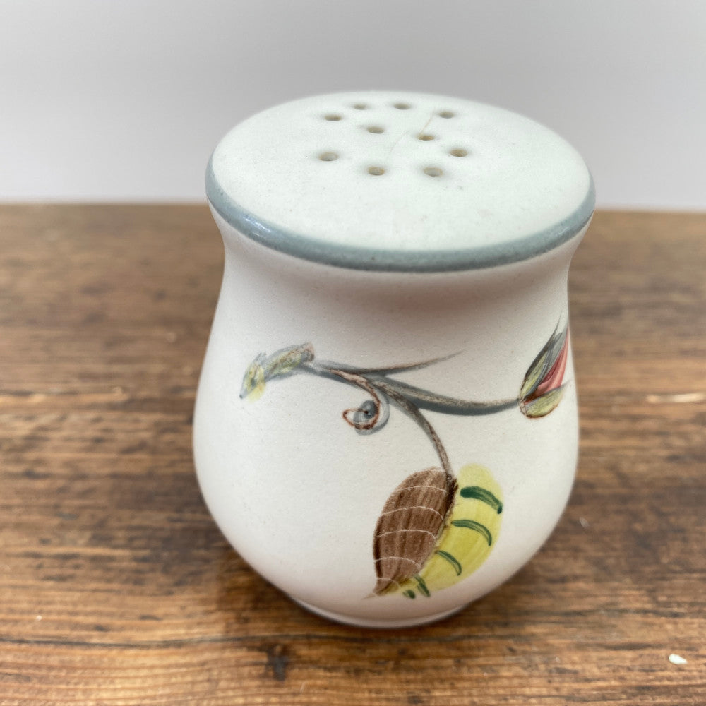 Denby "Spring" Salt Pot (Later Style) – MrPottery