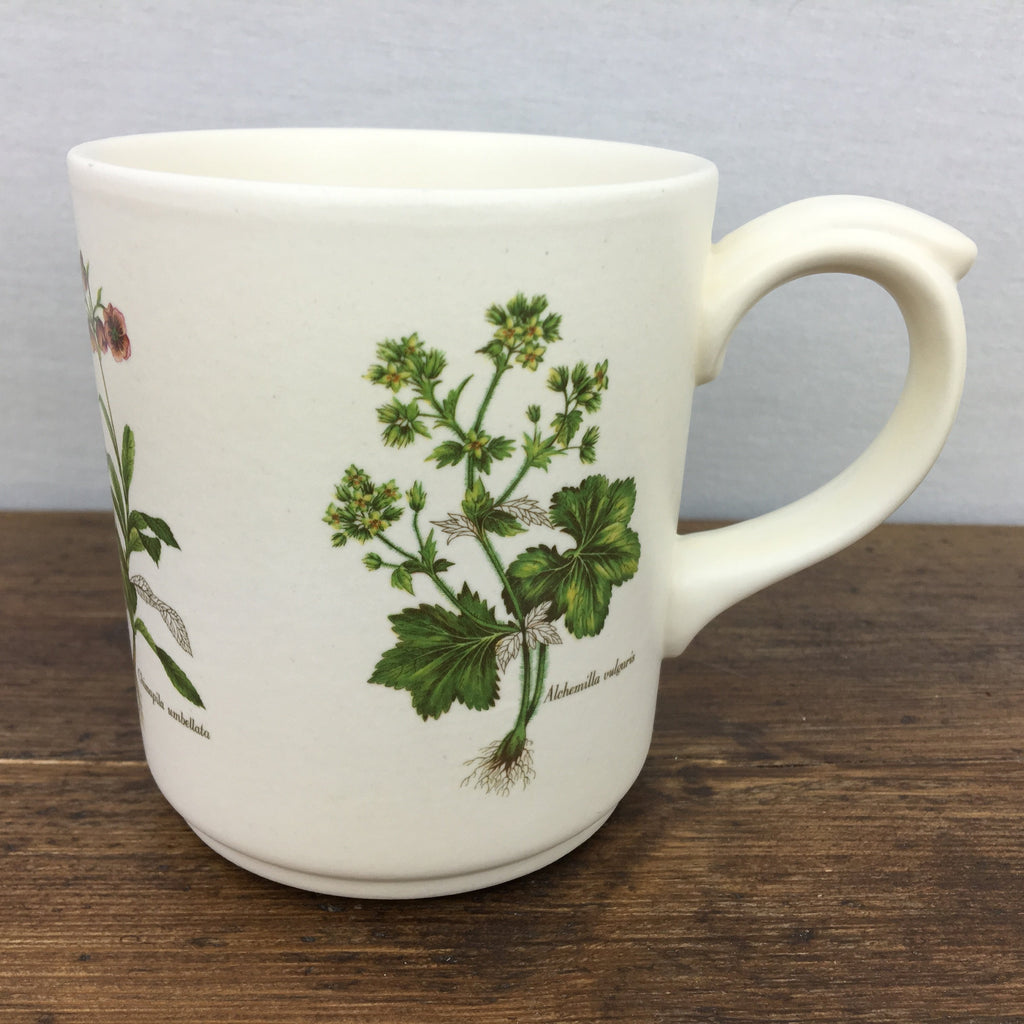 Poole Pottery "Country Lane" Mug (RARE) – MrPottery