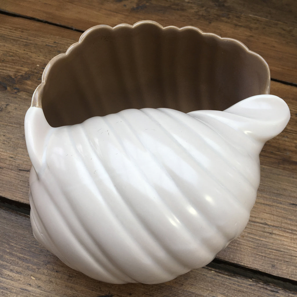 Poole Pottery "Twintone - Sepia & Mushroom (C54)" Shell, Winkle (Large ...