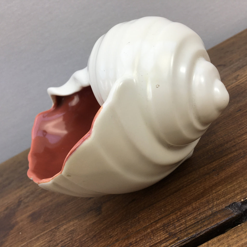 Poole Pottery "Red Indian & Magnolia (C95)" Shell, Winkle (Med) - RARE ...