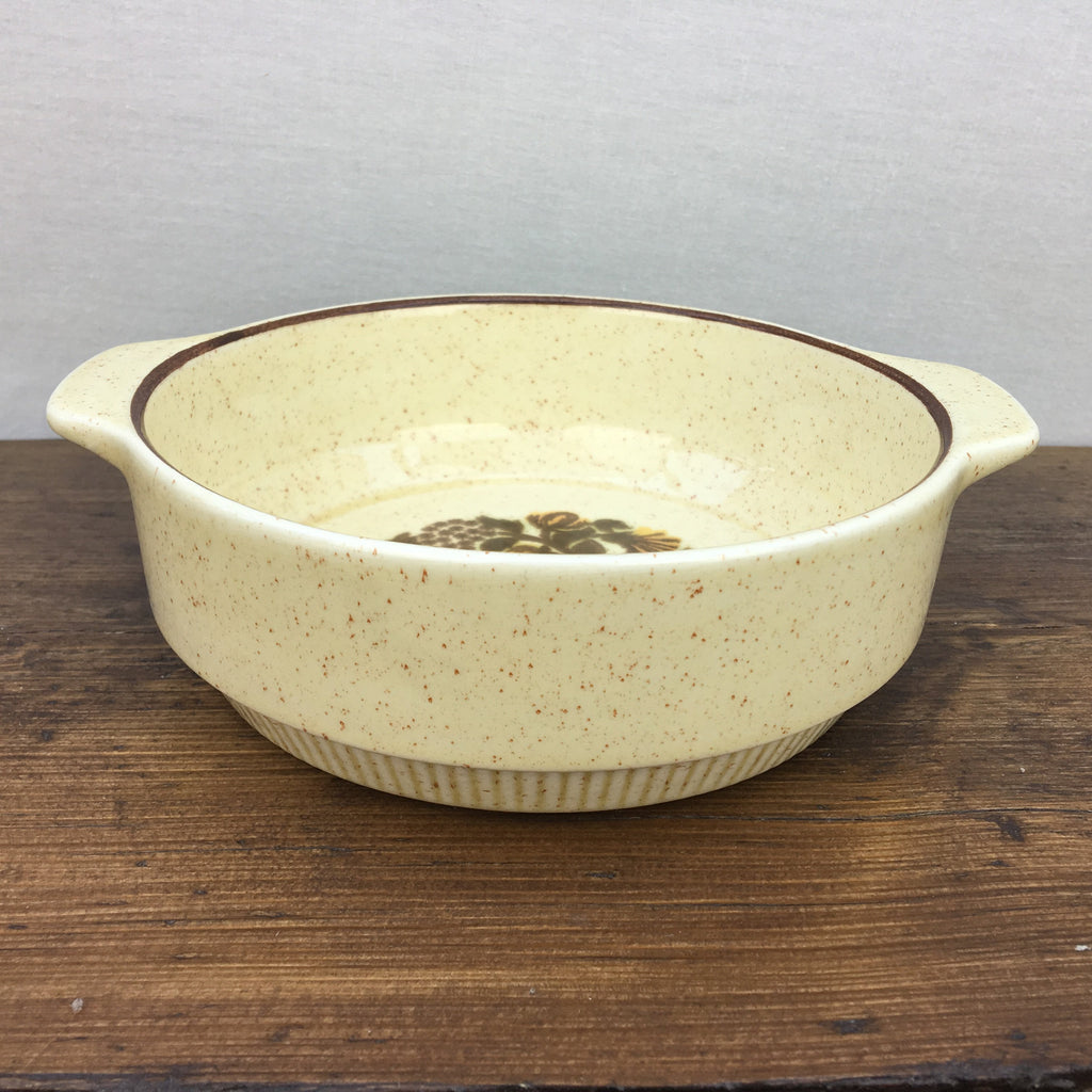 Poole Pottery "Thistlewood" Lugged Bowl – MrPottery
