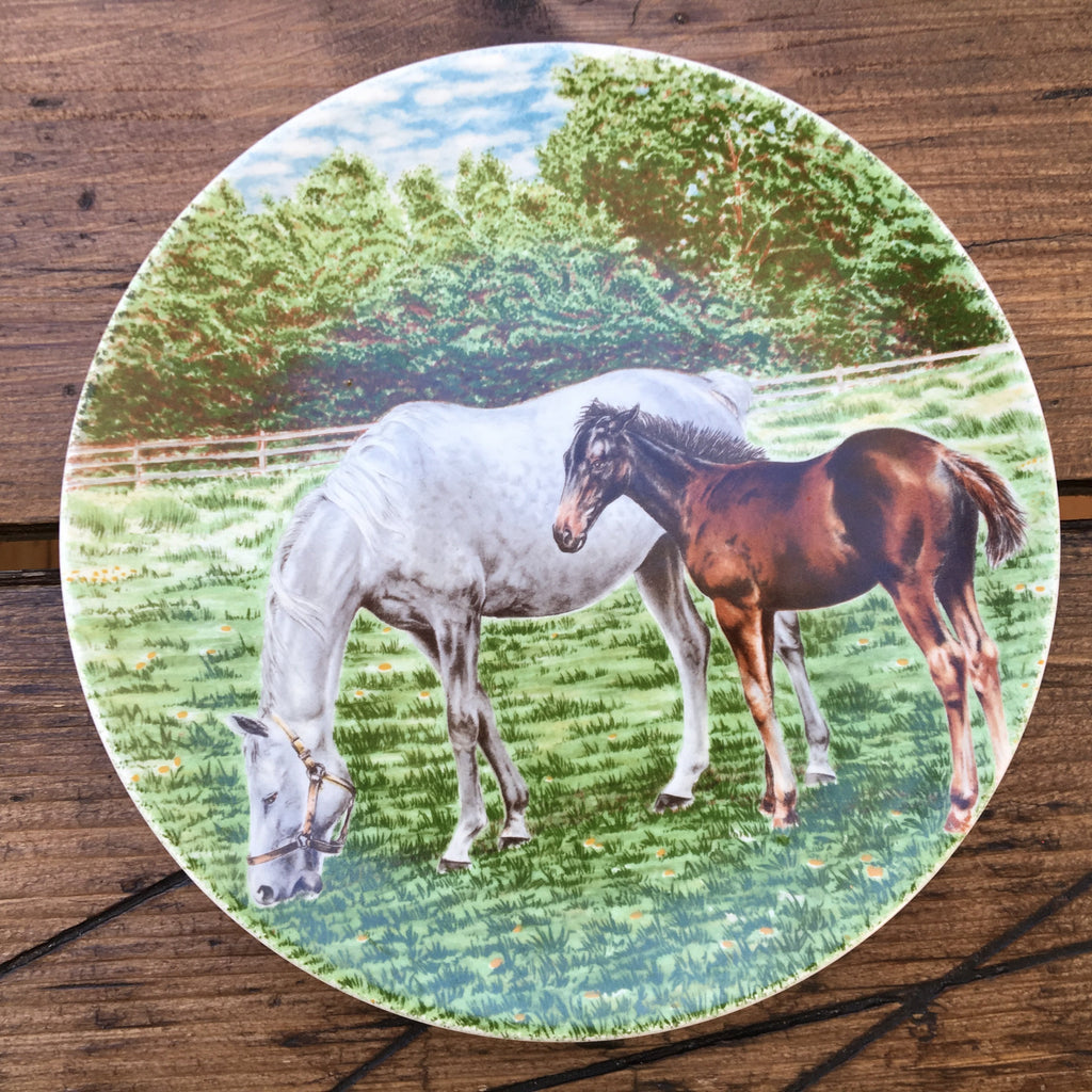 Poole Pottery "Transfer Plate" - Ponies - Light Mare & Dark Foal ...