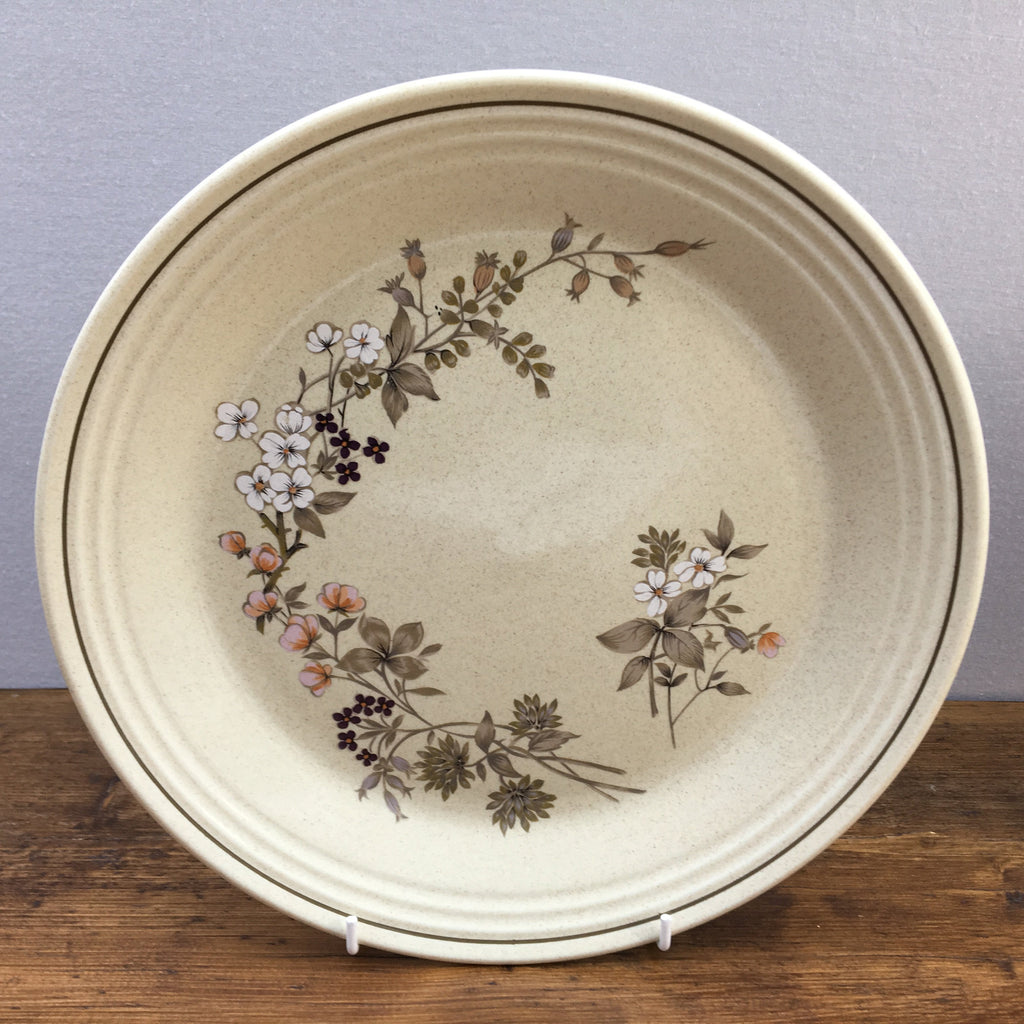 Royal Doulton "Bredon Hill" Dinner Plate – MrPottery