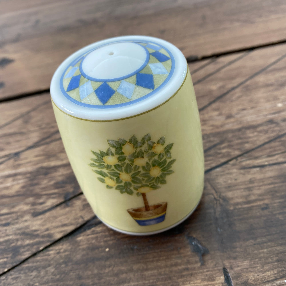 Royal Doulton "Carmina" Salt Pot (Lemon Tree) – MrPottery