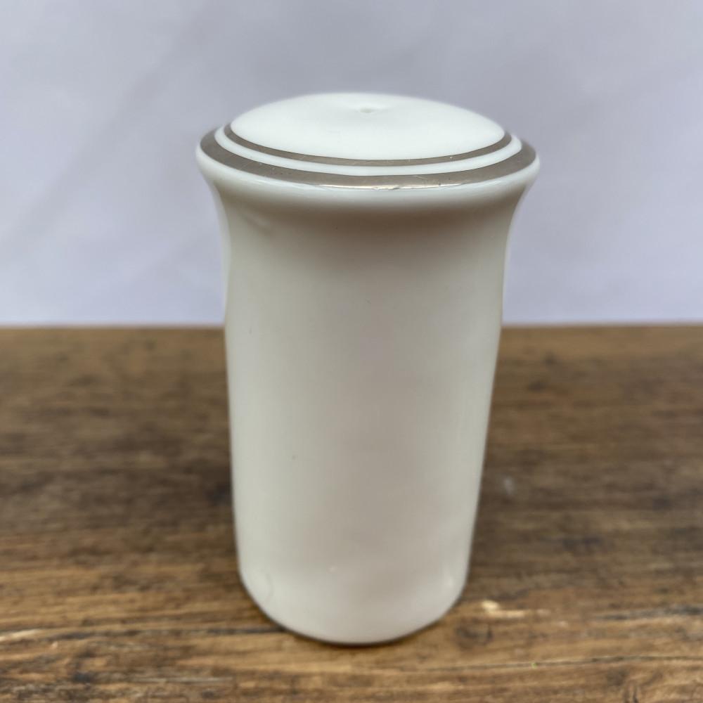 Royal Doulton "Platinum Concord" Salt Pot – MrPottery