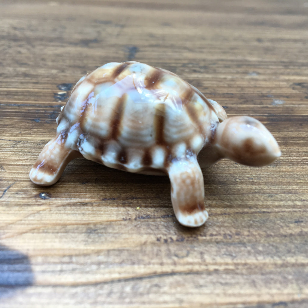 Wade "The Tortoise Family" - Baby Tortoise, 2" – MrPottery