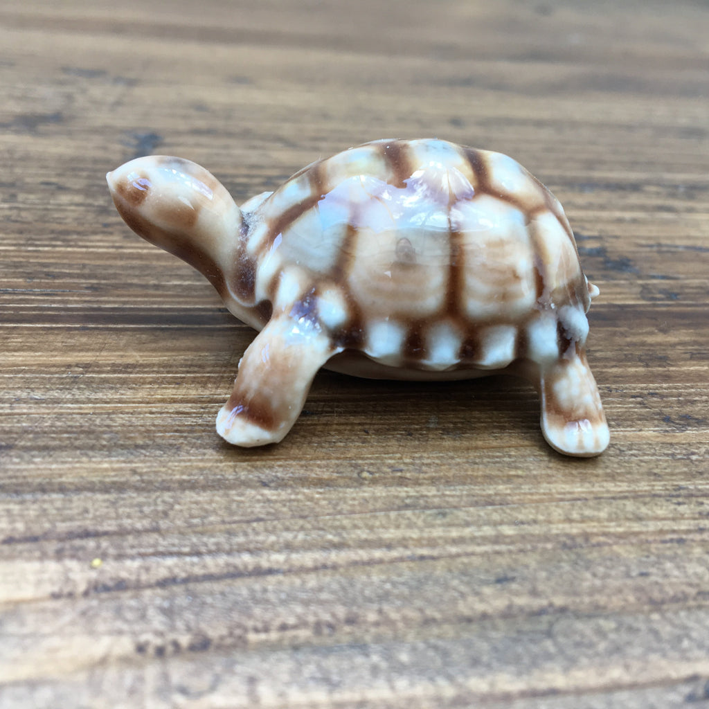 Wade "The Tortoise Family" - Baby Tortoise, 2" – MrPottery